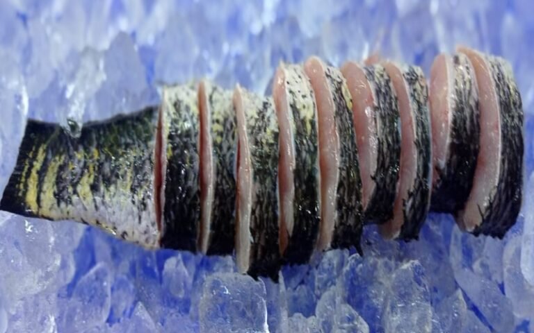 Best Indian Seafood | Fresh Murrel Fish | Fresh Curry Cuts