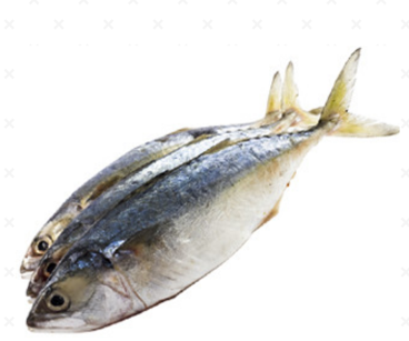 Indian Seafood Suppliers USA | Indian Mackerel Fish | Fresh Curry Cuts